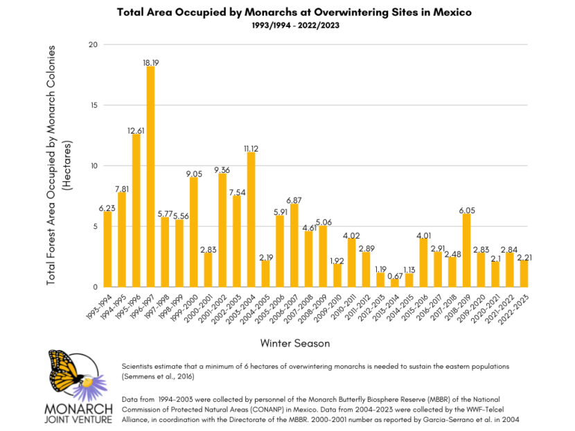 Eastern Monarch Declines, Occupied Smaller Acreage of Overwintering ...